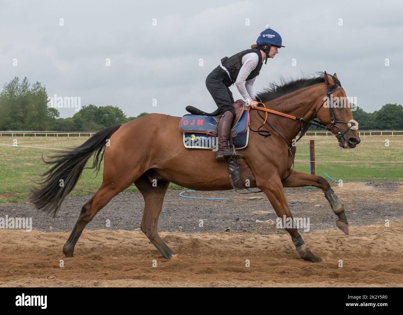 Olly murphy trainer hi-res stock photography and images - Alamy