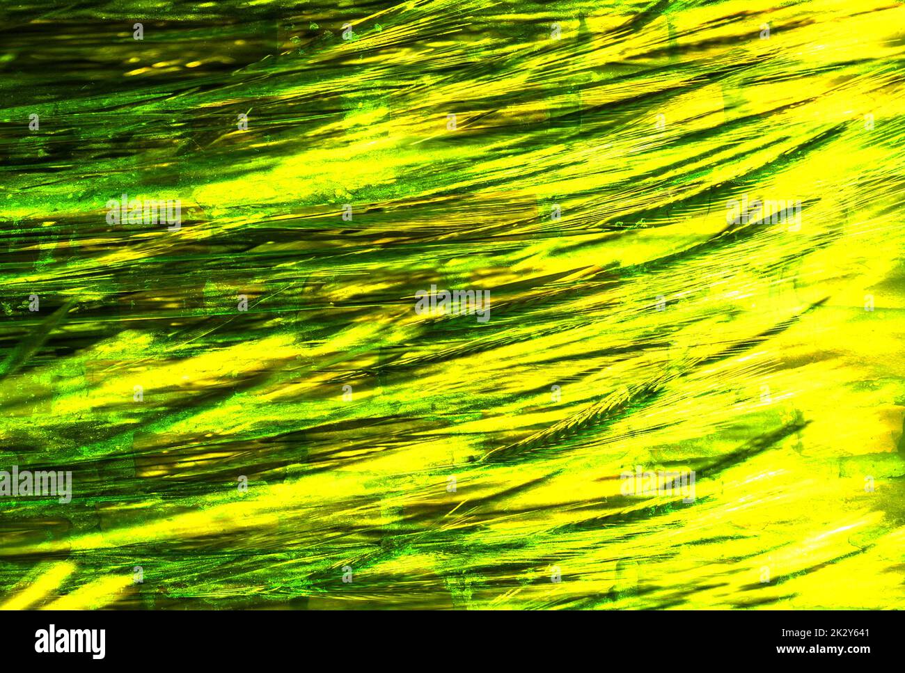 Abstract background with natural texture and irregular pattern Stock ...