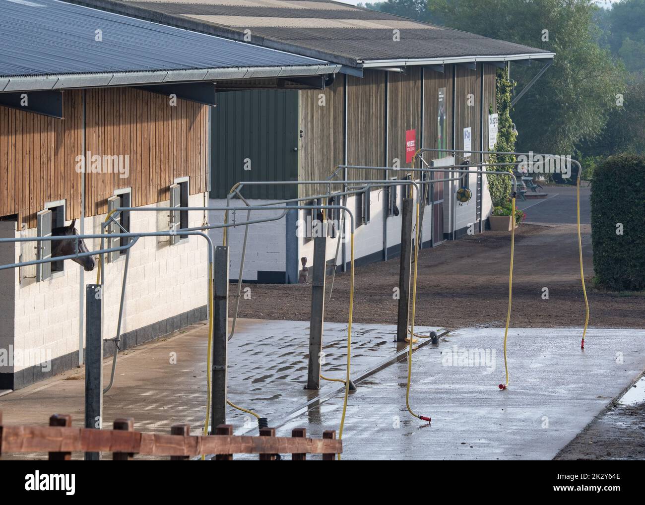 Olly Murphy Racing Stock Photo - Alamy