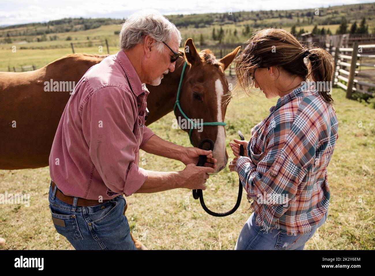 Ranchers daughter hi-res stock photography and images - Alamy
