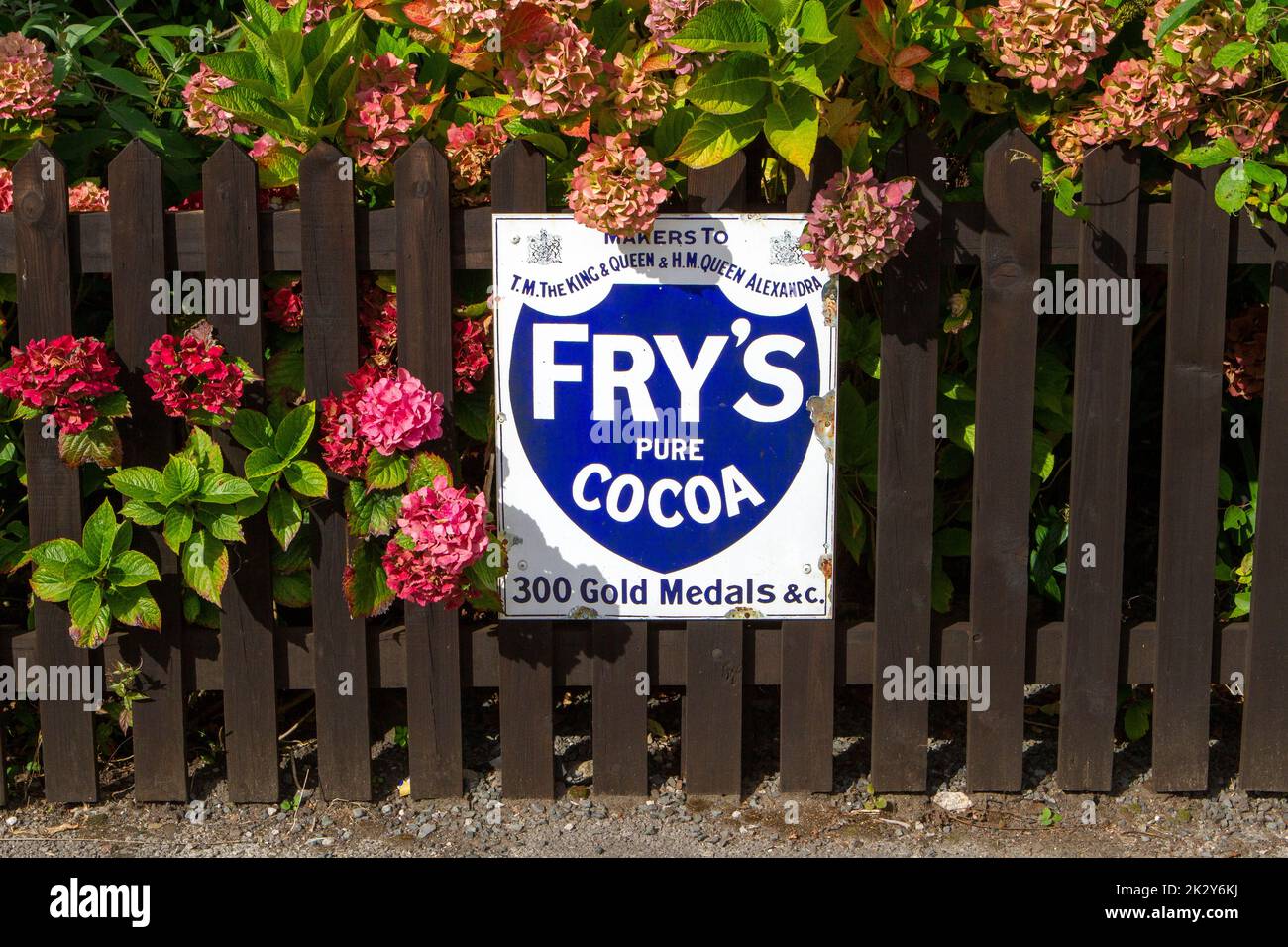 FRY's Pure Cocoa Antique enamel advertising signs Stock Photo - Alamy