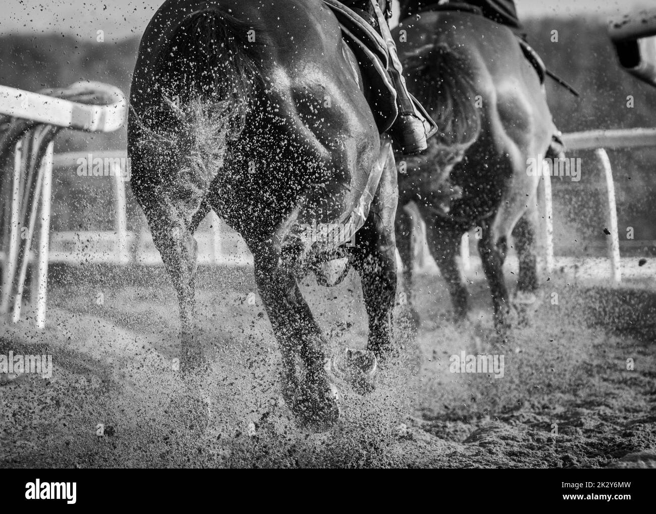 Olly Murphy Racing Stock Photo - Alamy