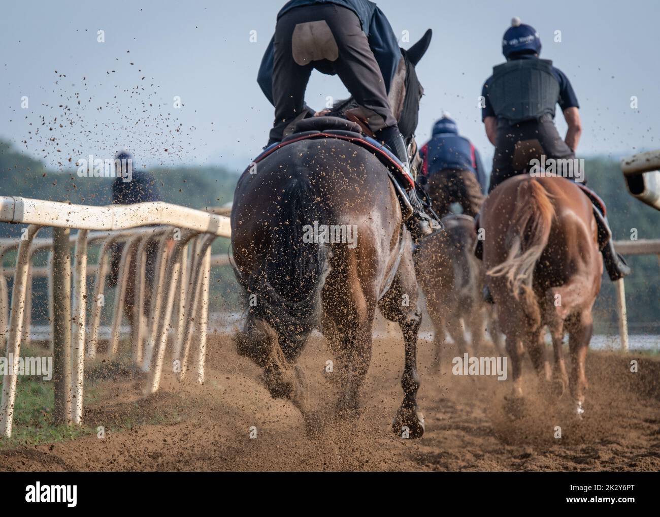Olly Murphy Racing Stock Photo - Alamy
