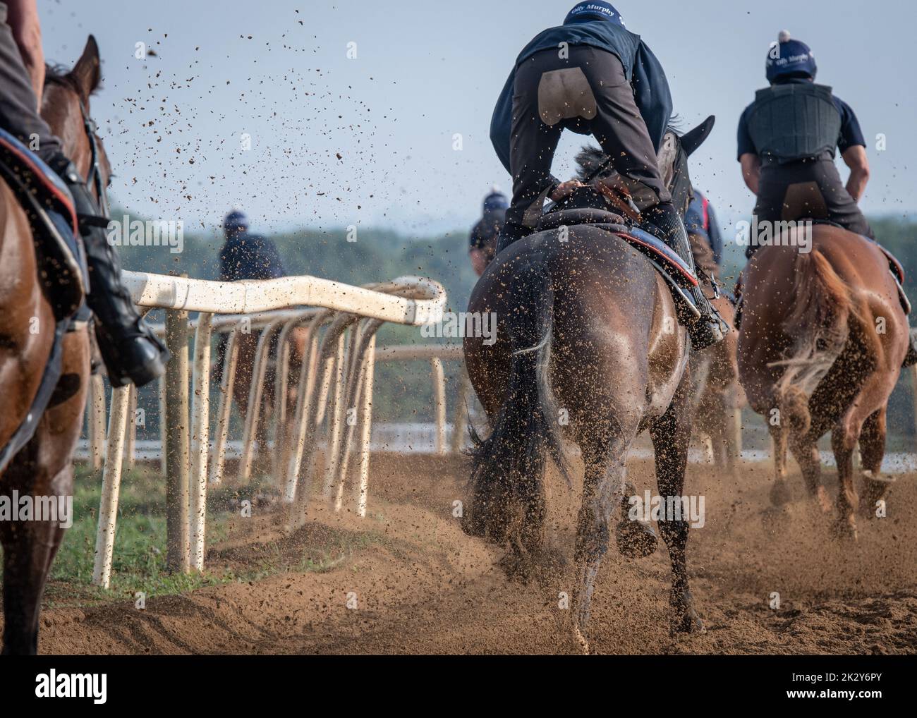Olly Murphy Racing Stock Photo - Alamy