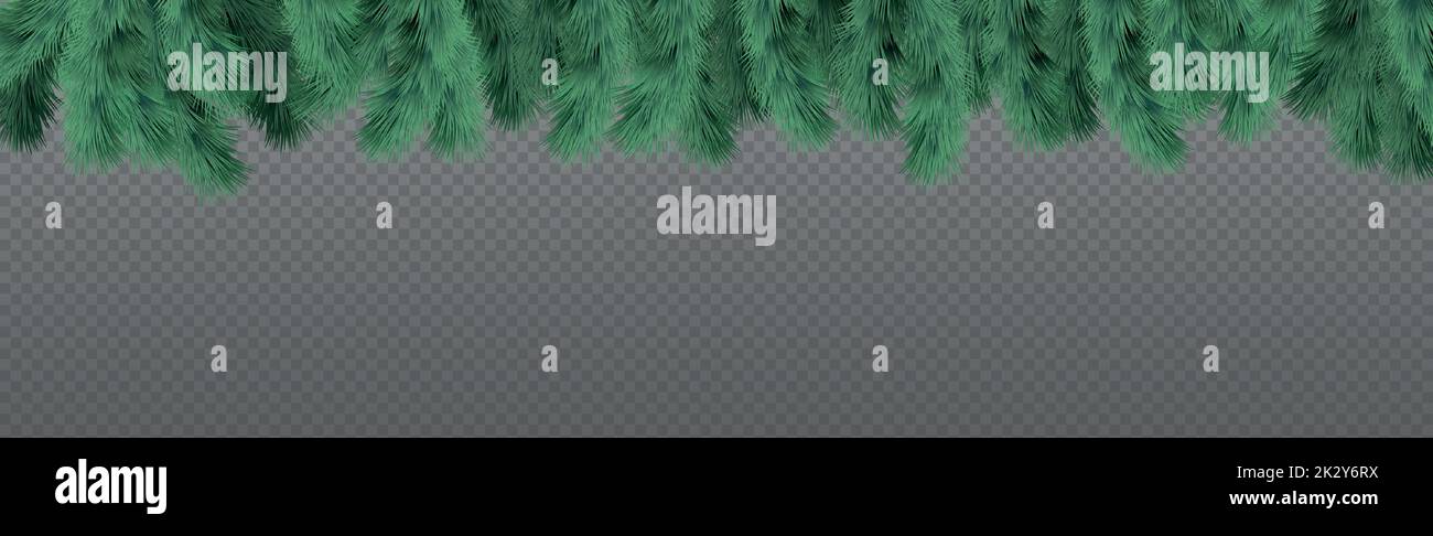 New Year Christmas background, festive fir tree, web template without ...