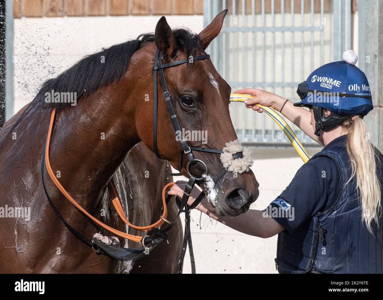 Olly Murphy Racing Stock Photo - Alamy