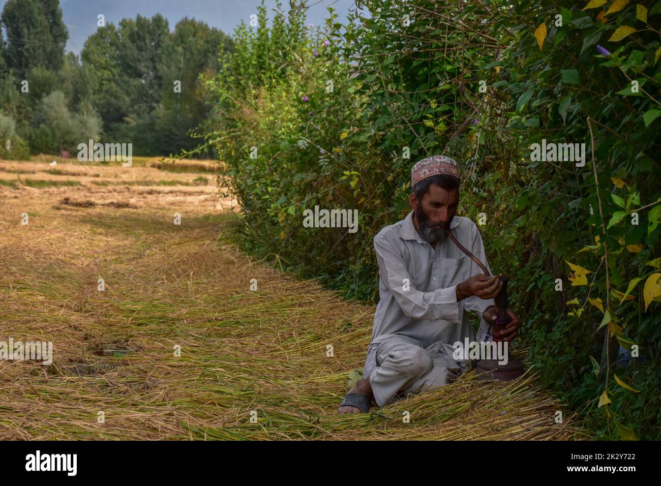 Jajeer hi-res stock photography and images - Alamy