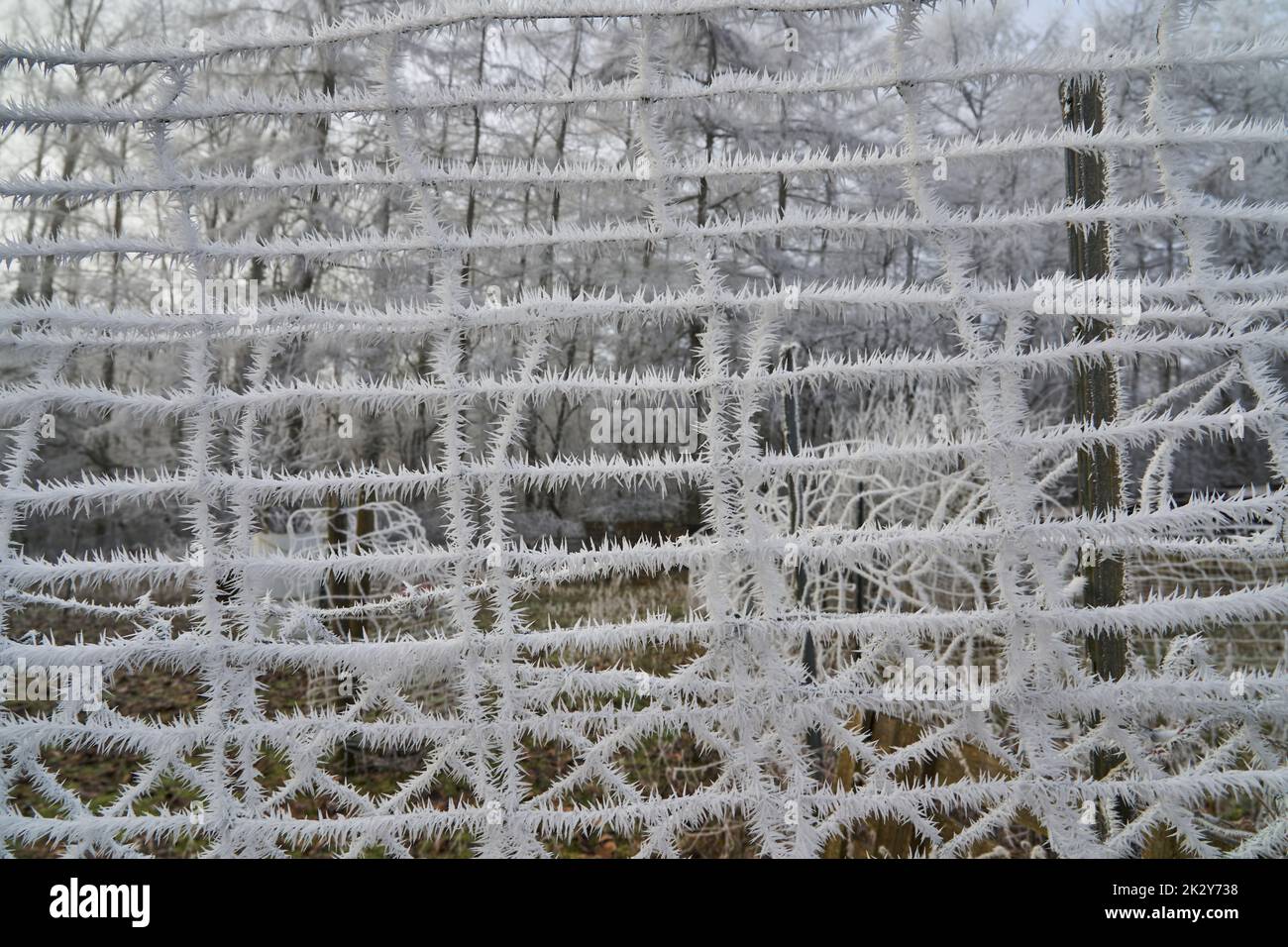 Hoar frost, also hoarfrost, radiation frost, or pruina, are white ice ...