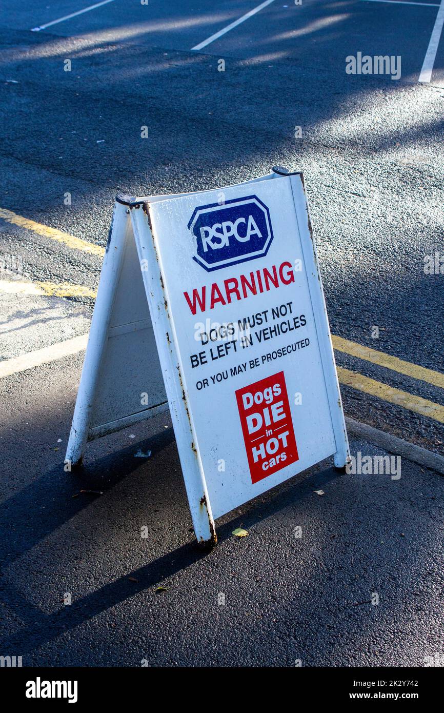 Dogs die in hot cars RSPCA warning sign Stock Photo - Alamy