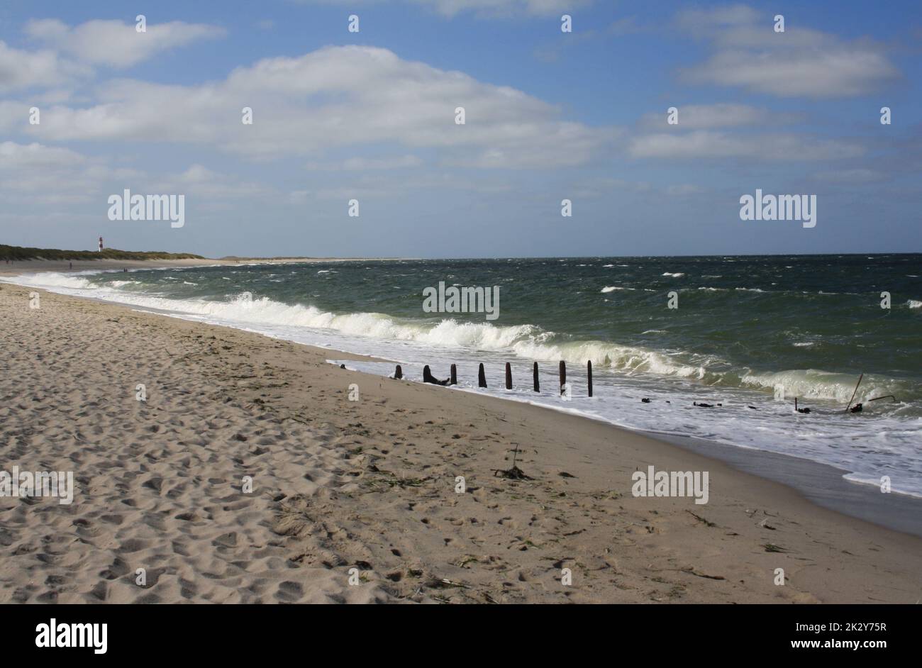 Lighthouse coast windy windy hi-res stock photography and images - Alamy
