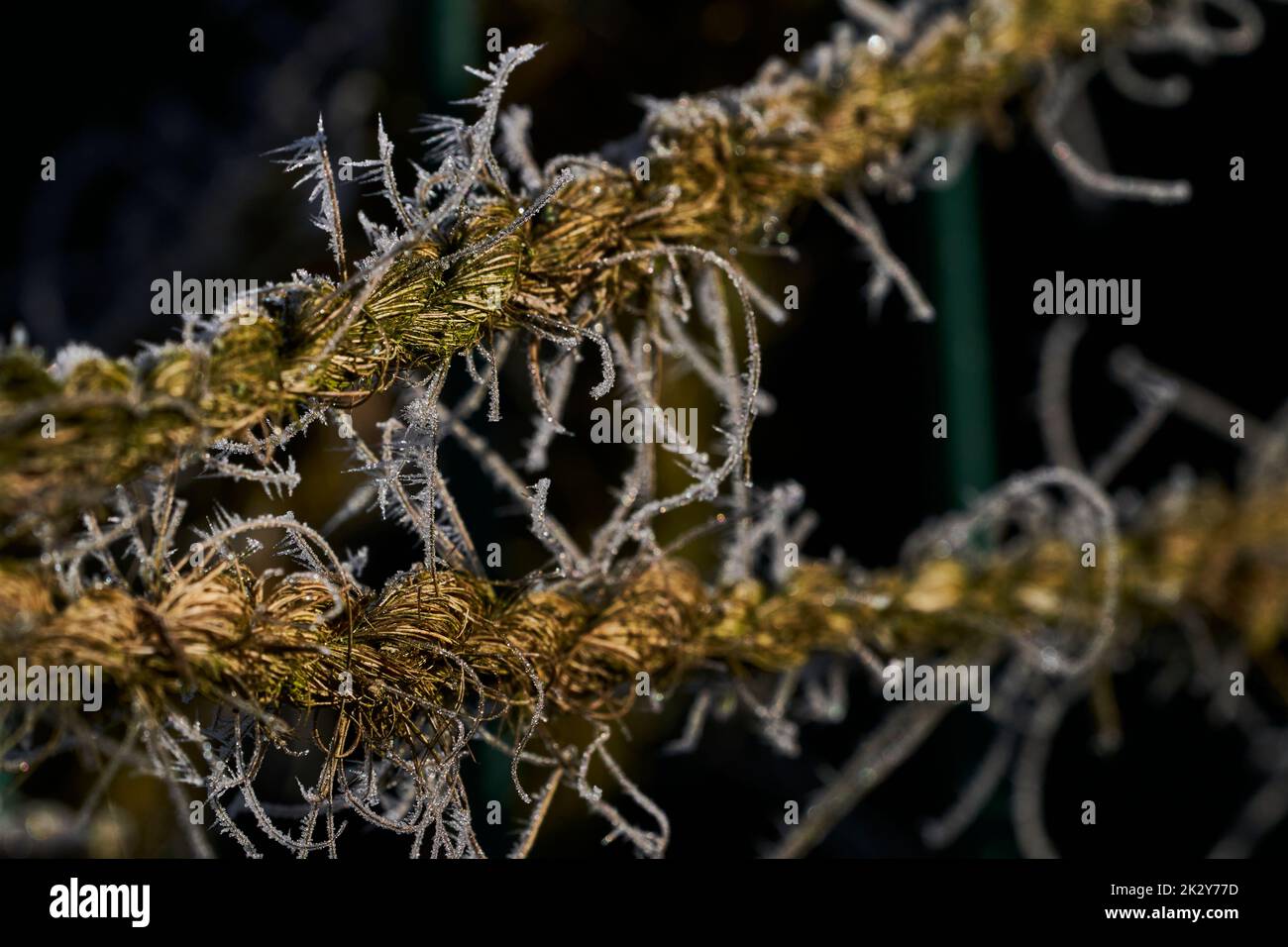 Frost on rope hi-res stock photography and images - Alamy