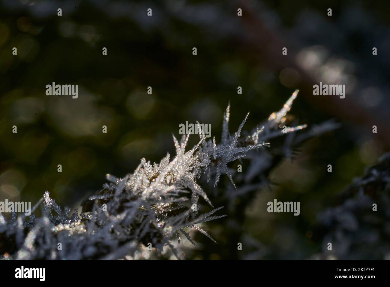 Exposed spine hi-res stock photography and images - Alamy