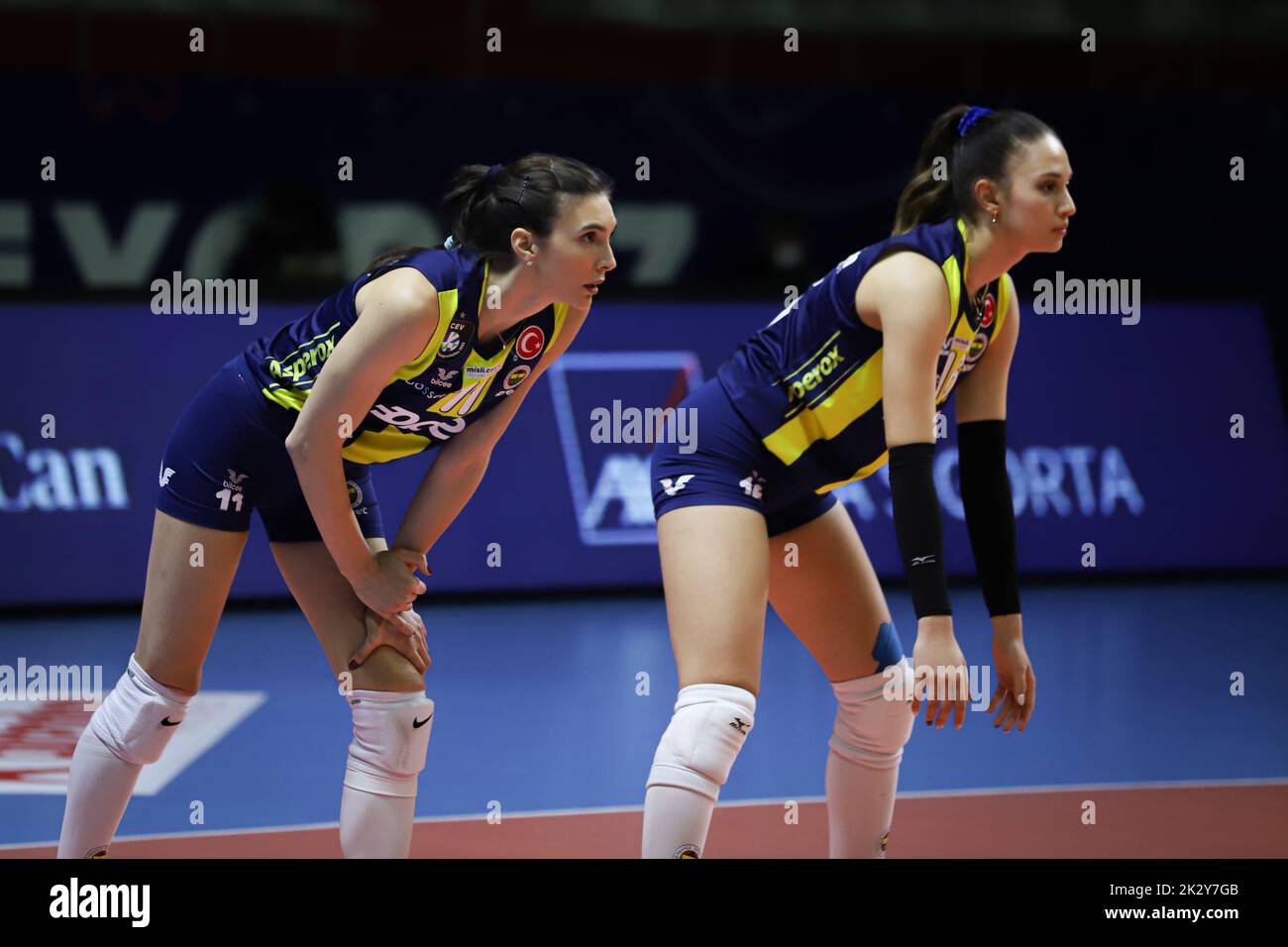 Ipar ozay kurt hi-res stock photography and images - Alamy