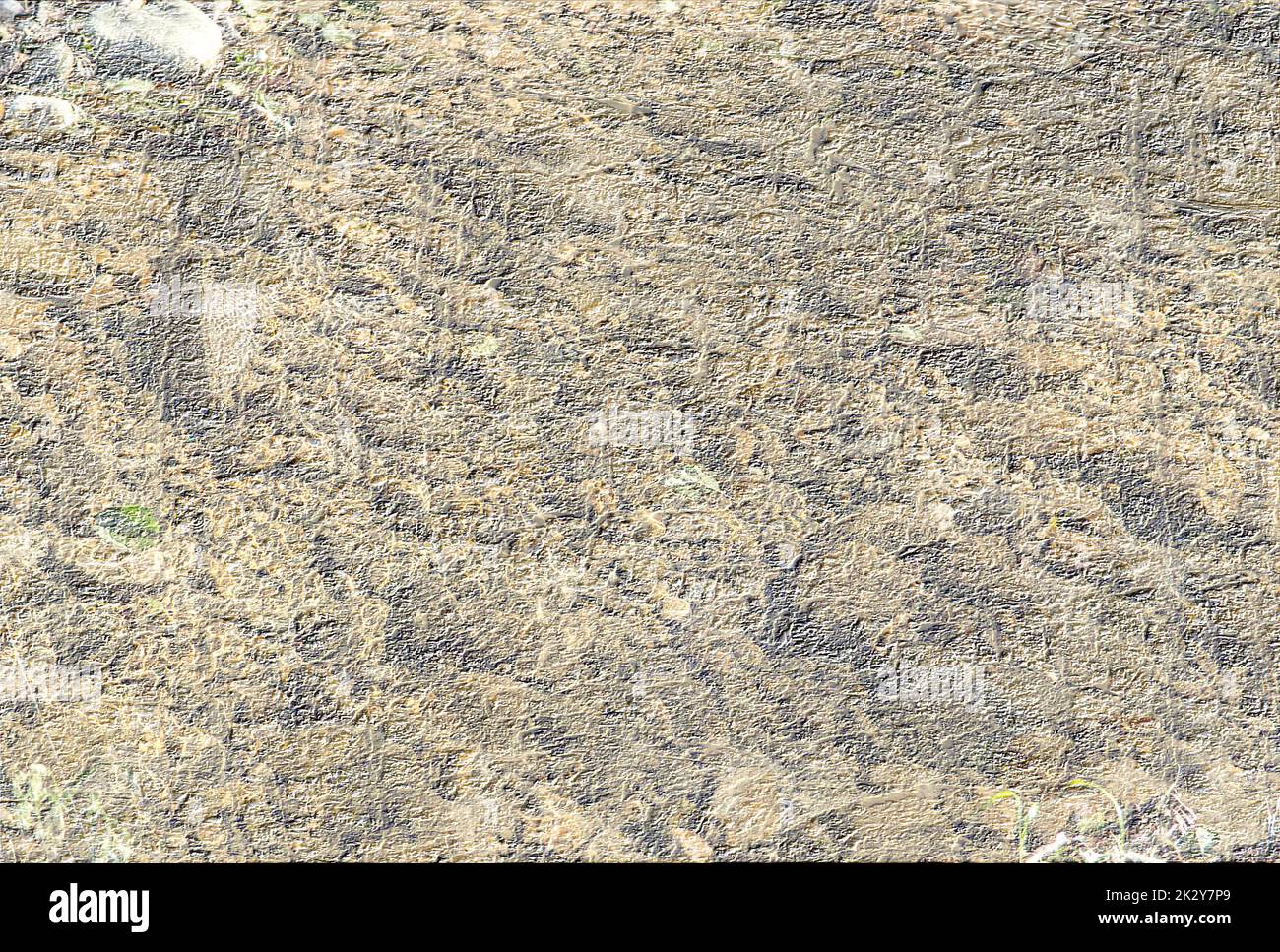 Abstract background with natural texture and irregular pattern Stock ...