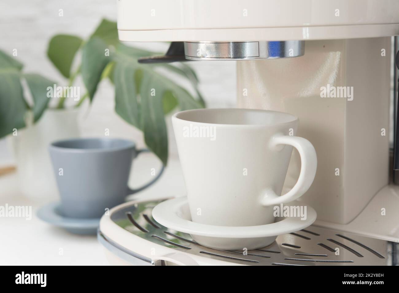 Cafe profesional hi-res stock photography and images - Alamy