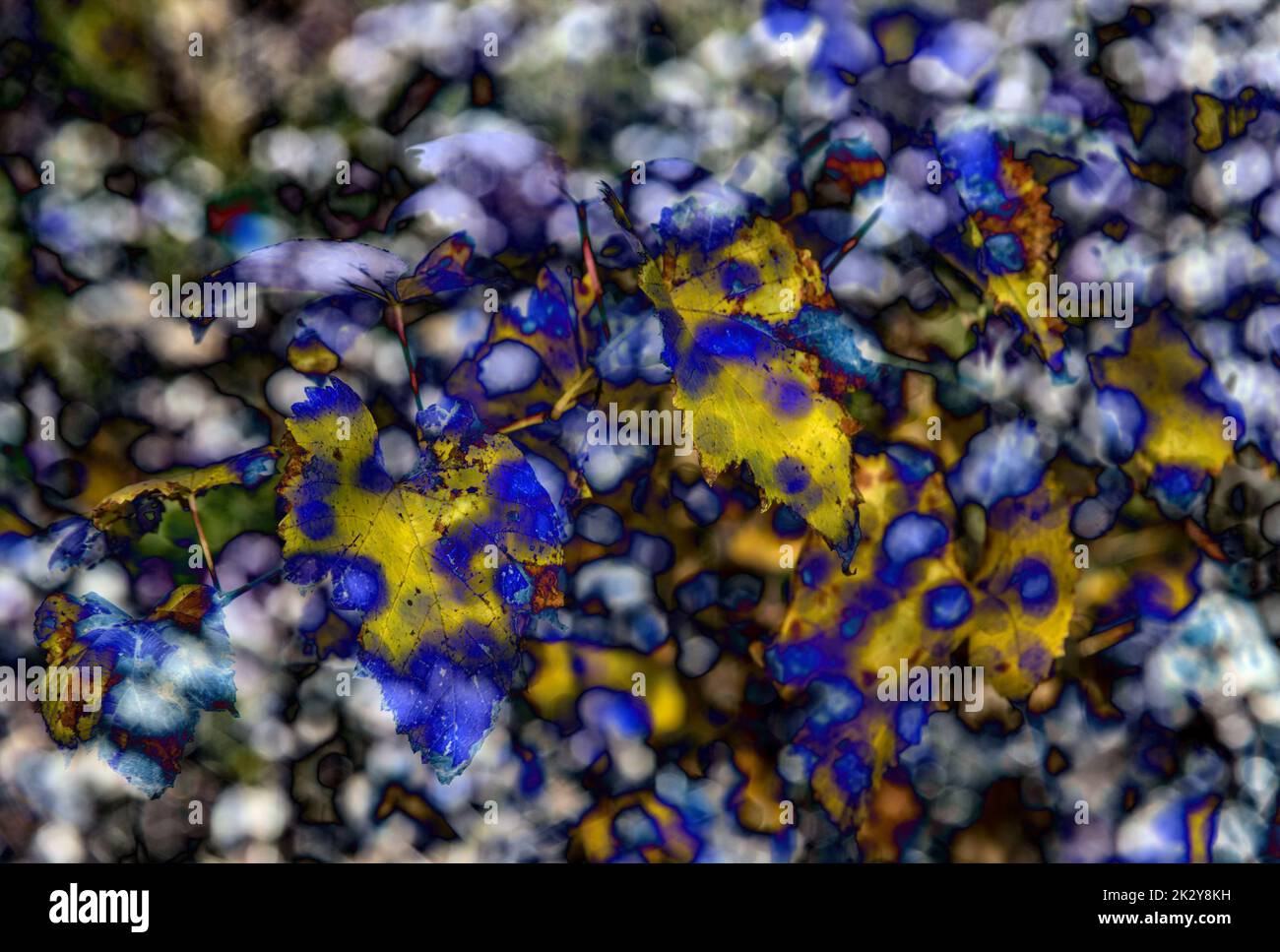 Abstract multicolor, background with natural texture and irregular ...