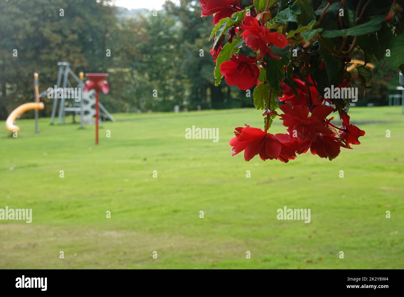 The play area in High Lea Park, New Mills, Derbyshire Stock Photo - Alamy