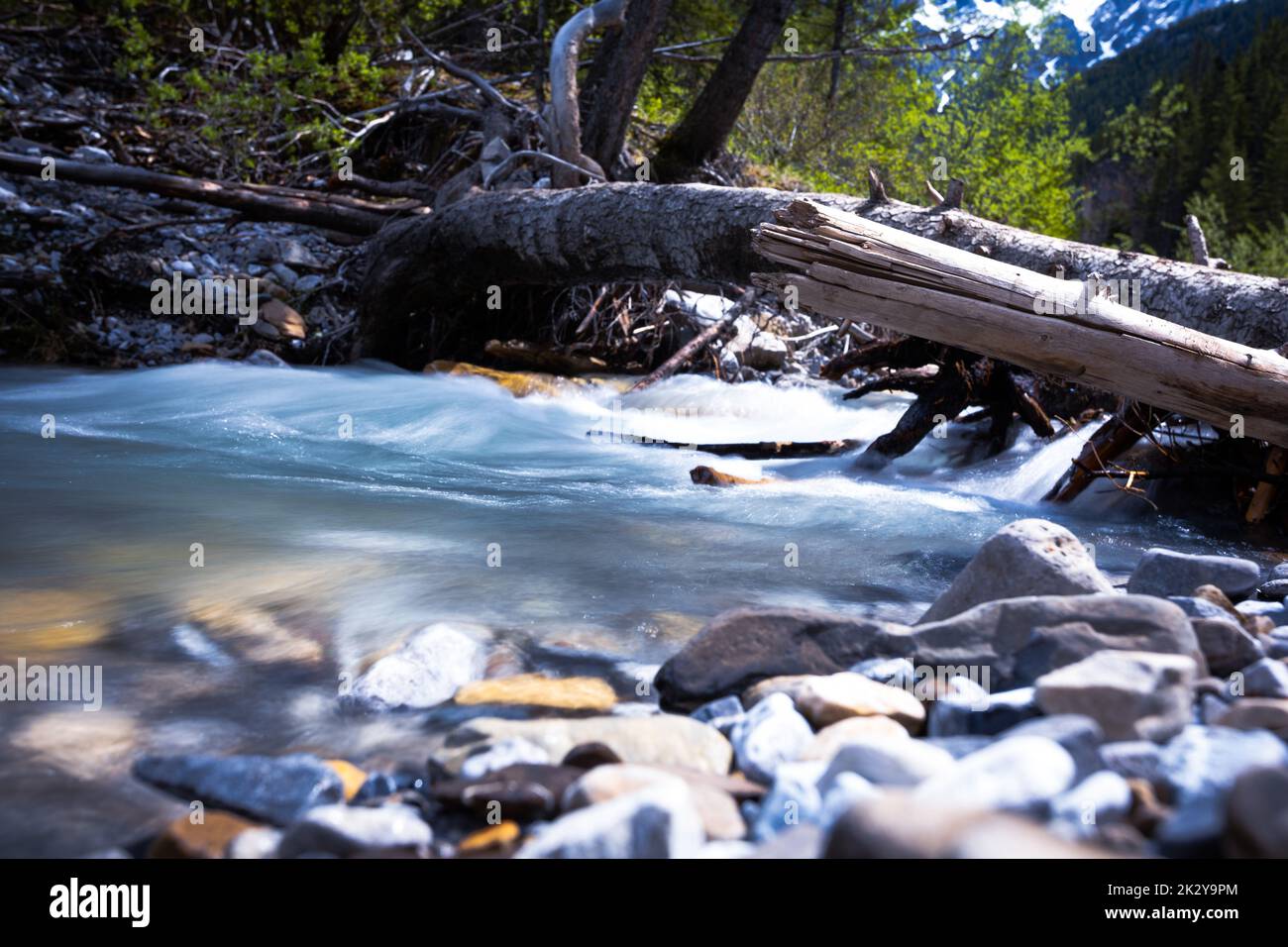 A low angle shot of fallen tree logs over a river Stock Photo - Alamy