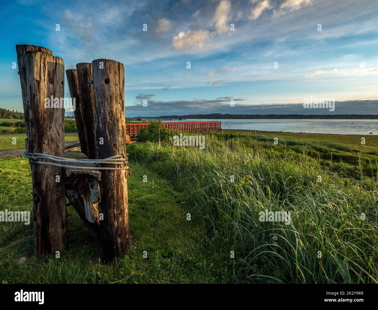 A close-up shot of wooden logs tied together on afield by the lake ...