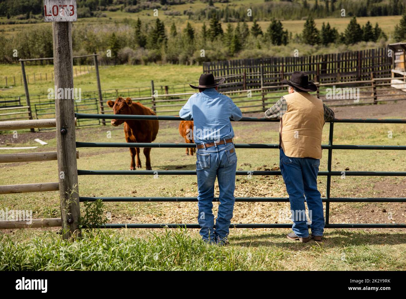 Farmer gate back man hi-res stock photography and images - Alamy