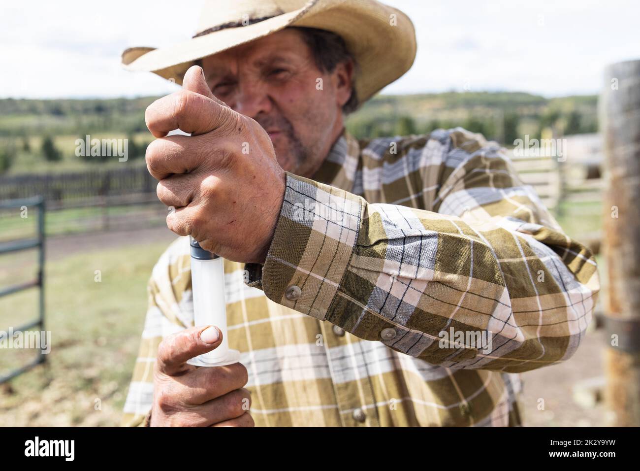 Cattle prevention hi-res stock photography and images - Alamy