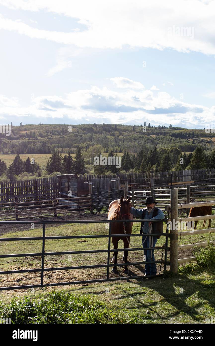 Rural farm gate hi-res stock photography and images - Alamy