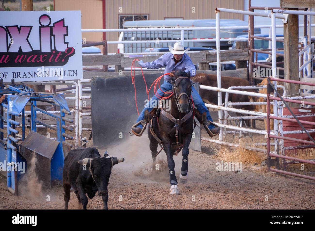 Rodeo gate hi-res stock photography and images - Alamy
