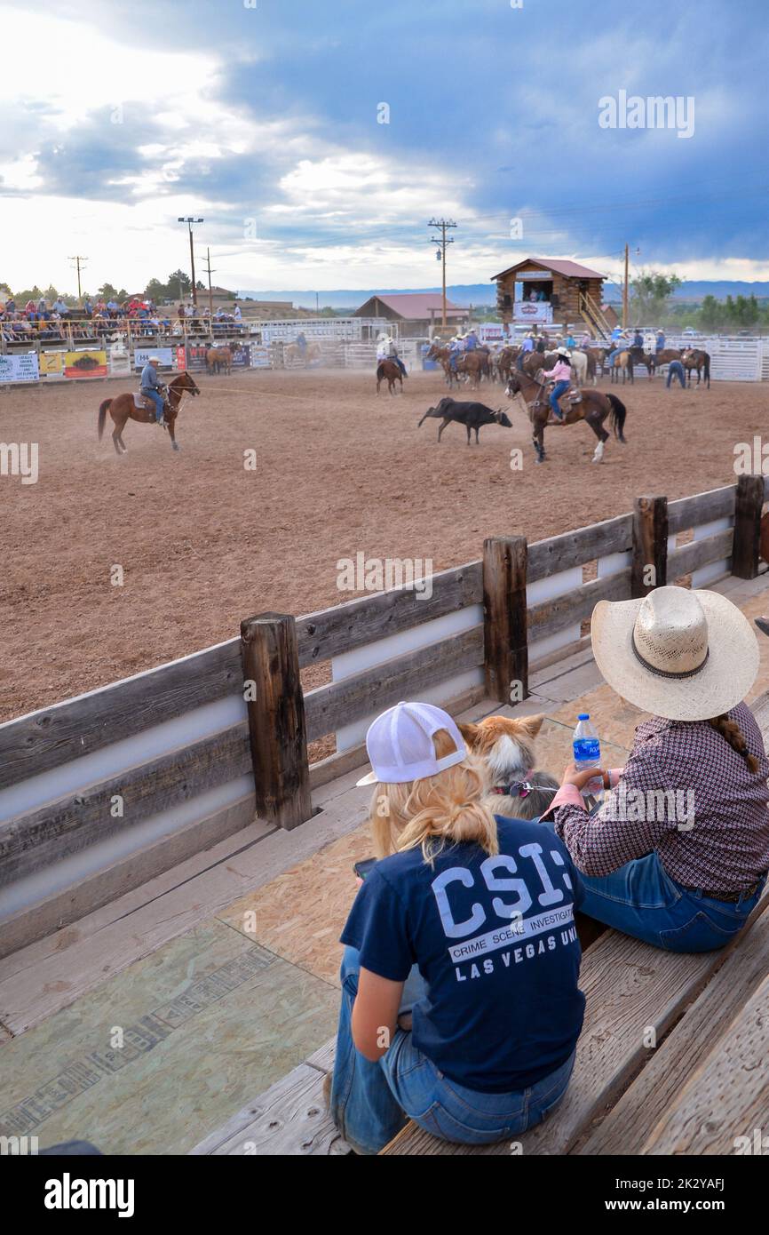 Two cowboys riding horses hi-res stock photography and images - Alamy