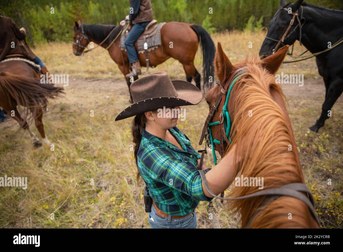 Mid adult woman riding horse hi-res stock photography and images - Alamy