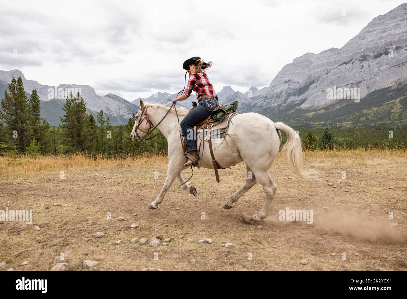 Cowgirl galloping on horse hi-res stock photography and images - Alamy