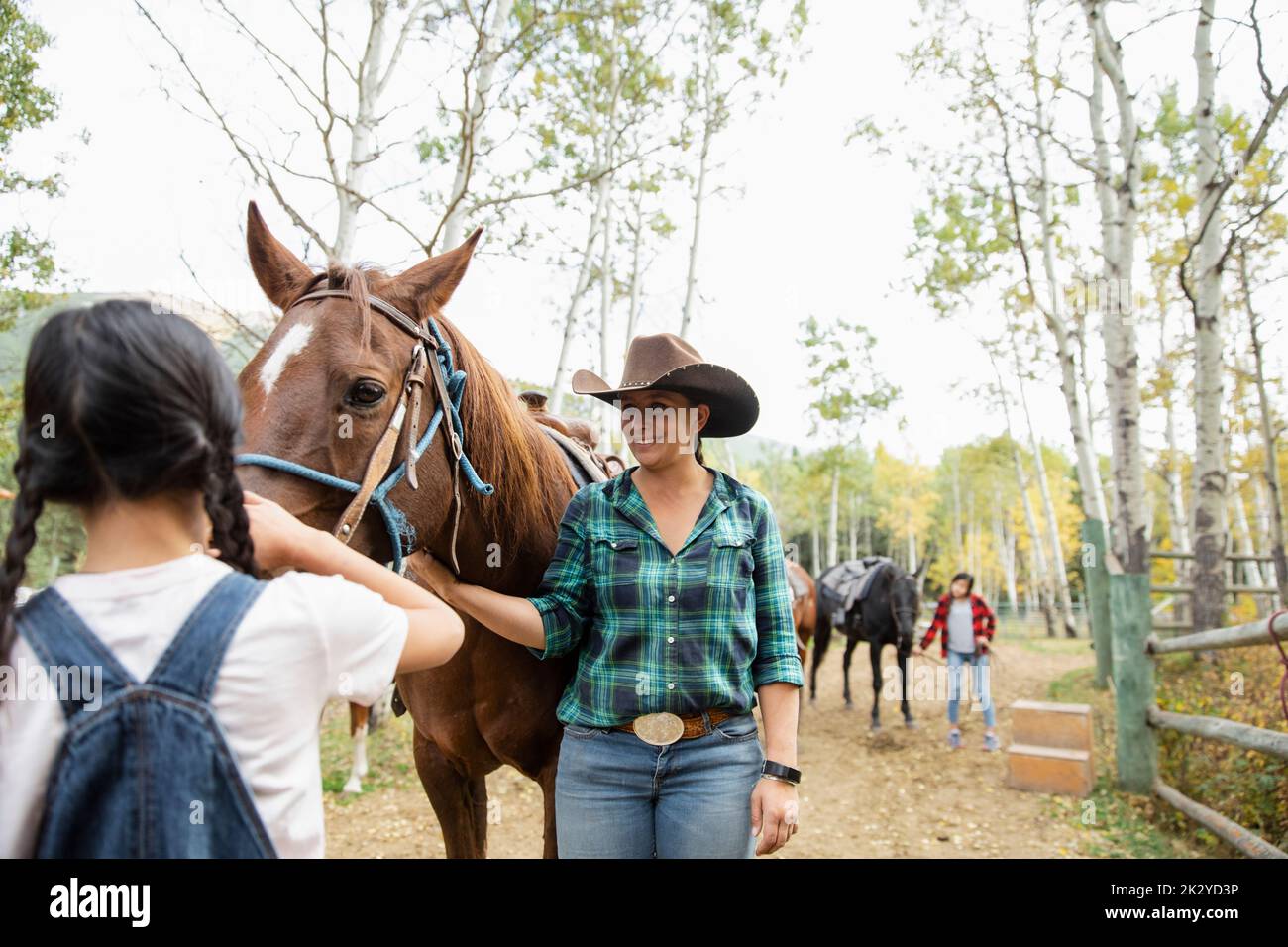 Girl smiling with brown horse hi-res stock photography and images - Alamy