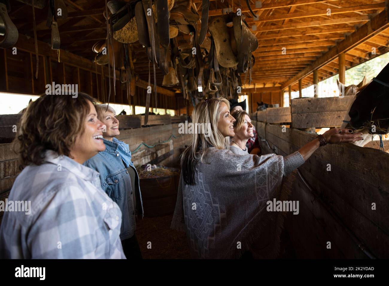 Mature friend hi-res stock photography and images - Alamy