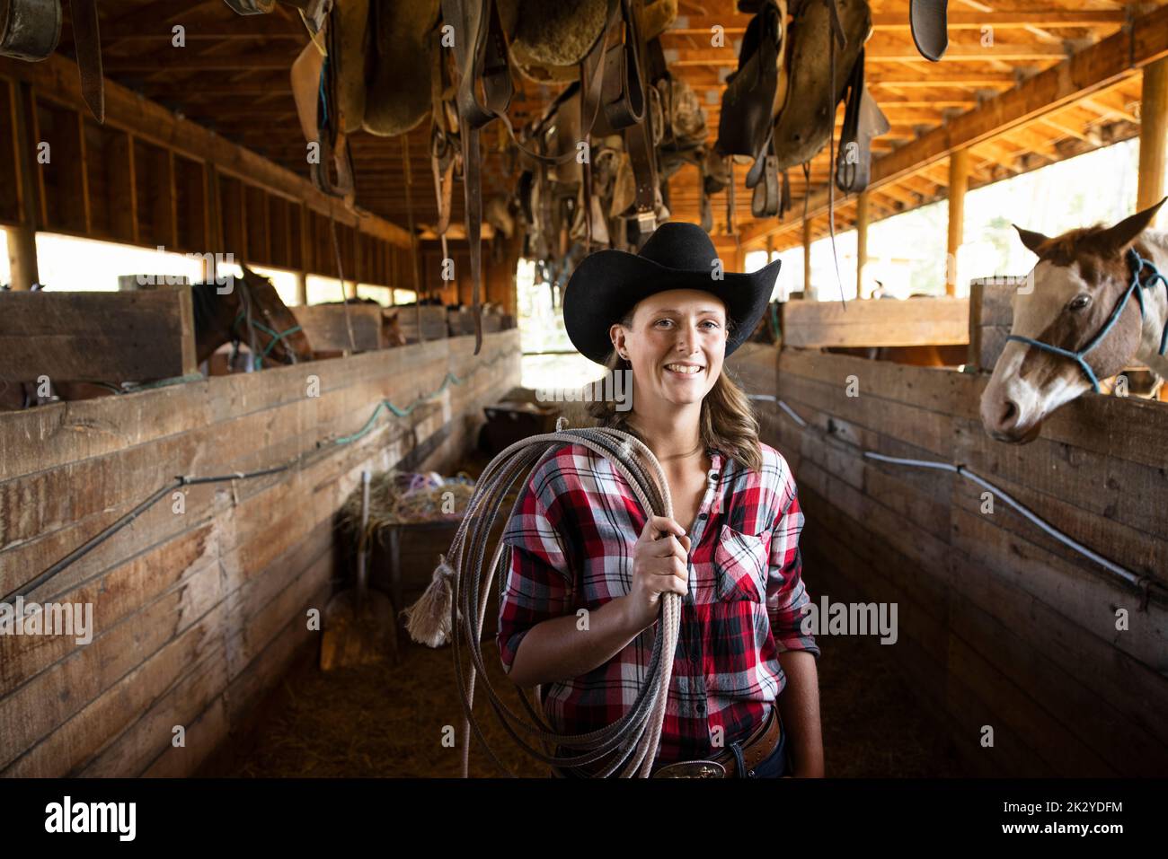 Cowboy lasso standing horse hi-res stock photography and images - Alamy