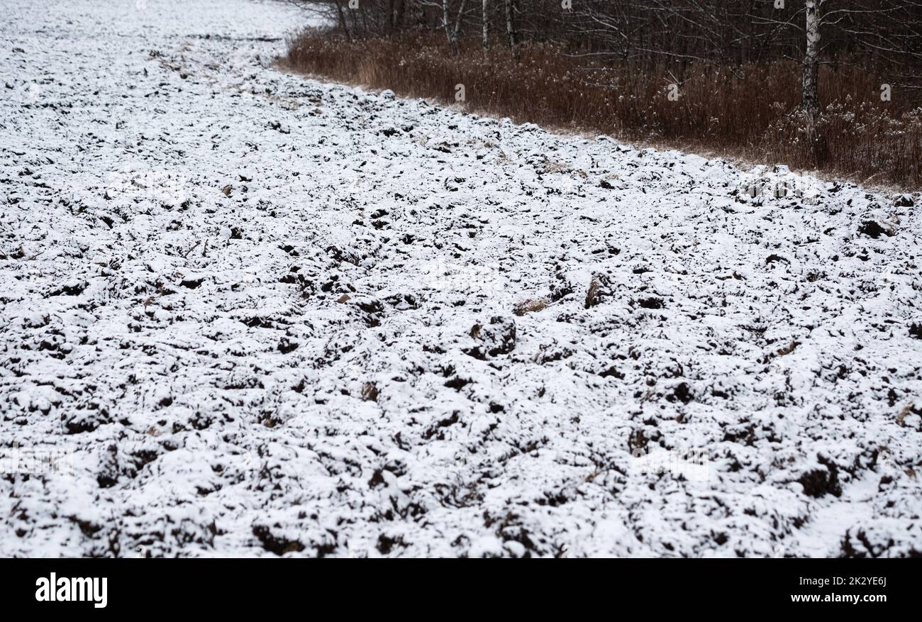 The soil under the snow. A cultivated field in winter. A thin layer of ...