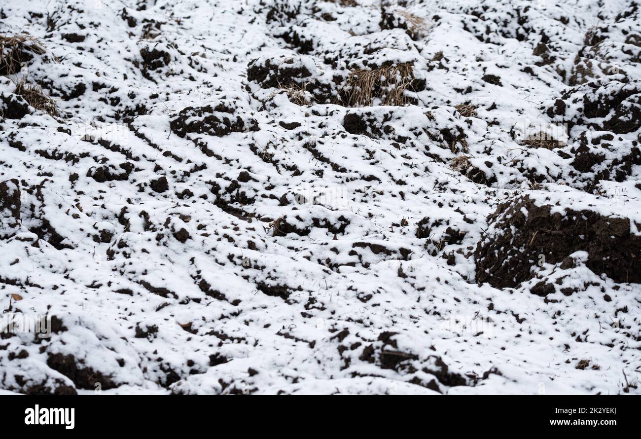 Thin layer soil hi-res stock photography and images - Alamy