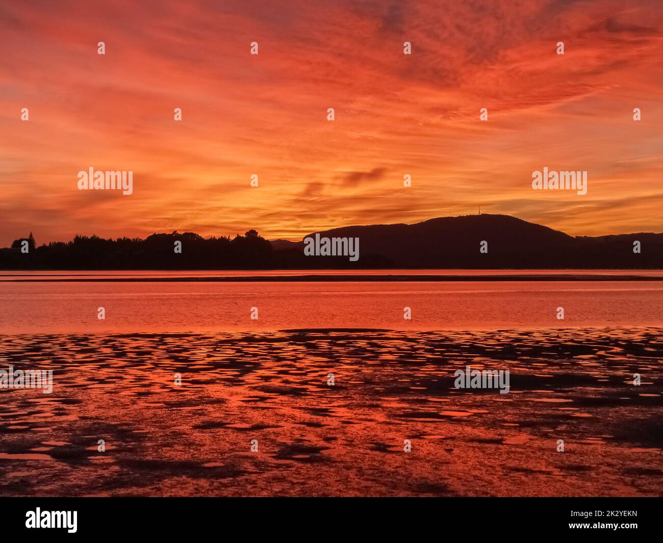 Dramatic deep colours of brilliant sunrise over bay in Tauranga Harbour ...
