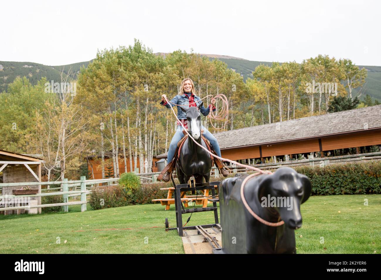 Roping horse hi-res stock photography and images - Alamy