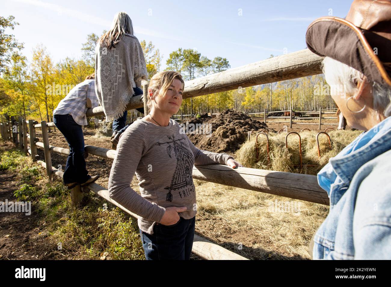 Mature fence hi-res stock photography and images - Alamy