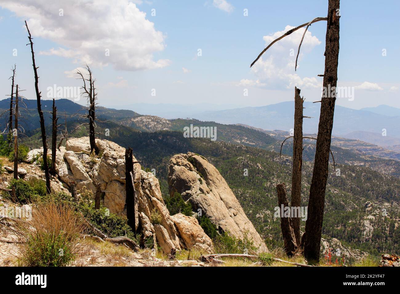 The huge stones and broken trees in a road with forest-covered hill ...
