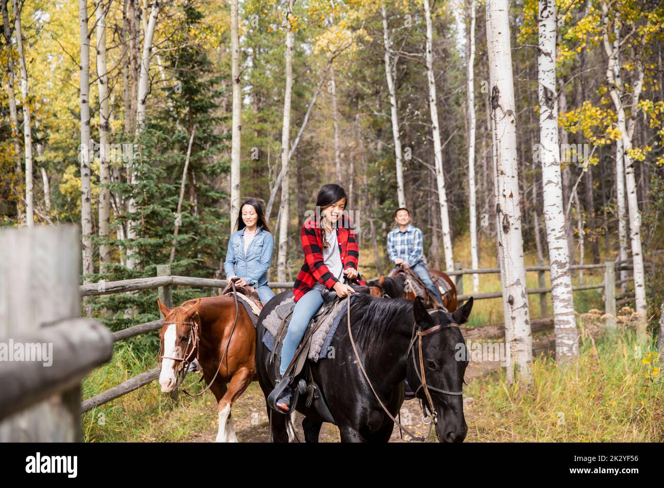 Family riding in woods hi-res stock photography and images - Alamy