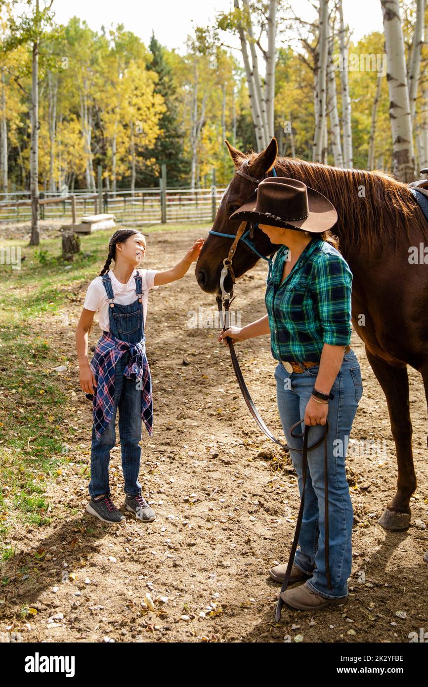 Love paddock hi-res stock photography and images - Alamy