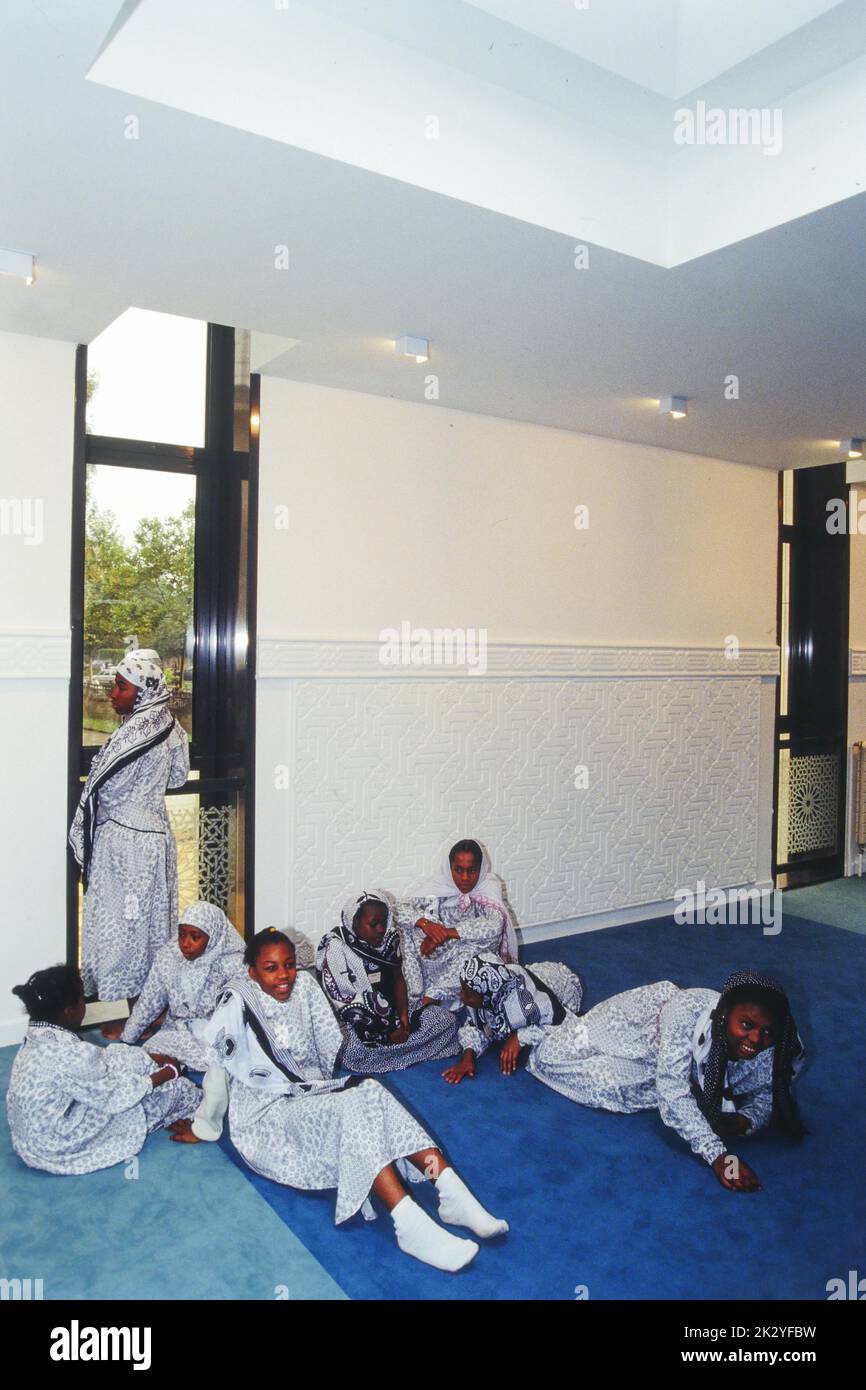 Opening of the Great Mosque of Lyon, Bron, France Stock Photo - Alamy