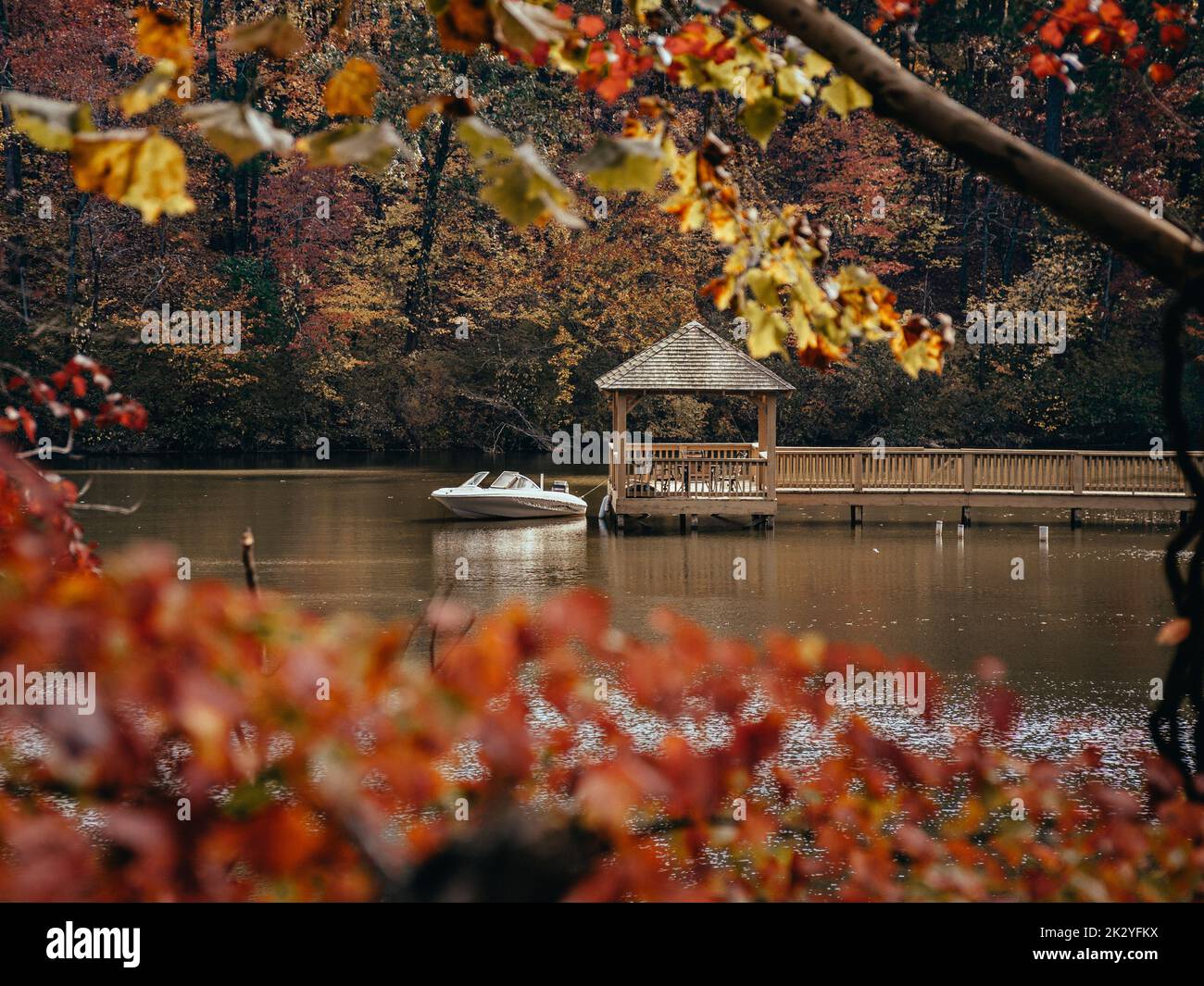 A boast at the dock on a lake in the foliage Stock Photo - Alamy