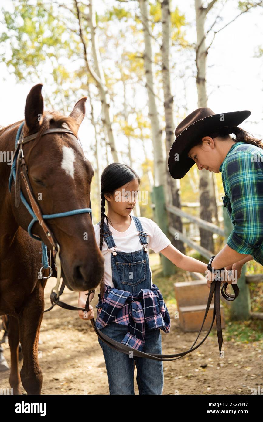 White horse woman riding holding reins hi-res stock photography and ...