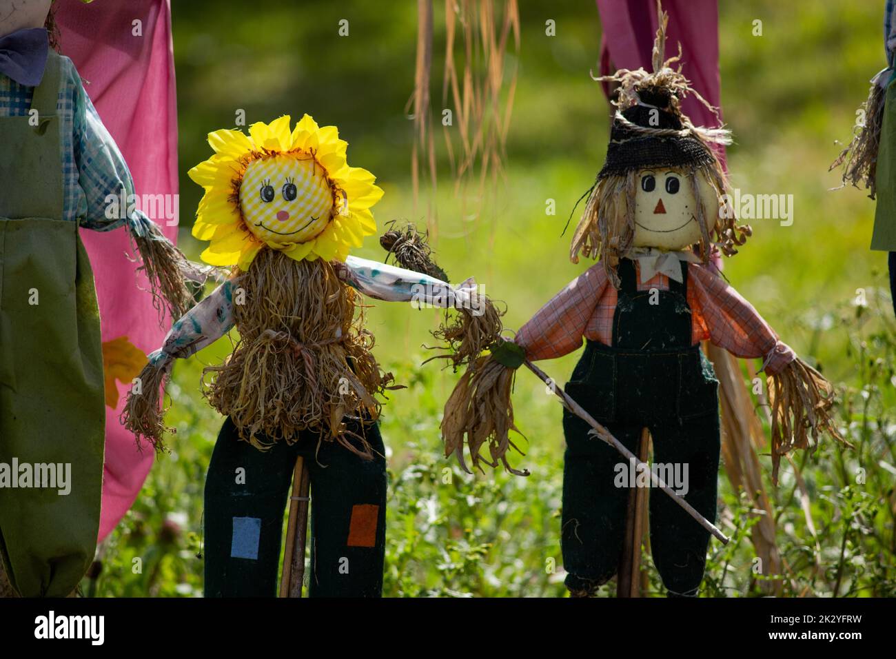 Decoy crop hi-res stock photography and images - Alamy