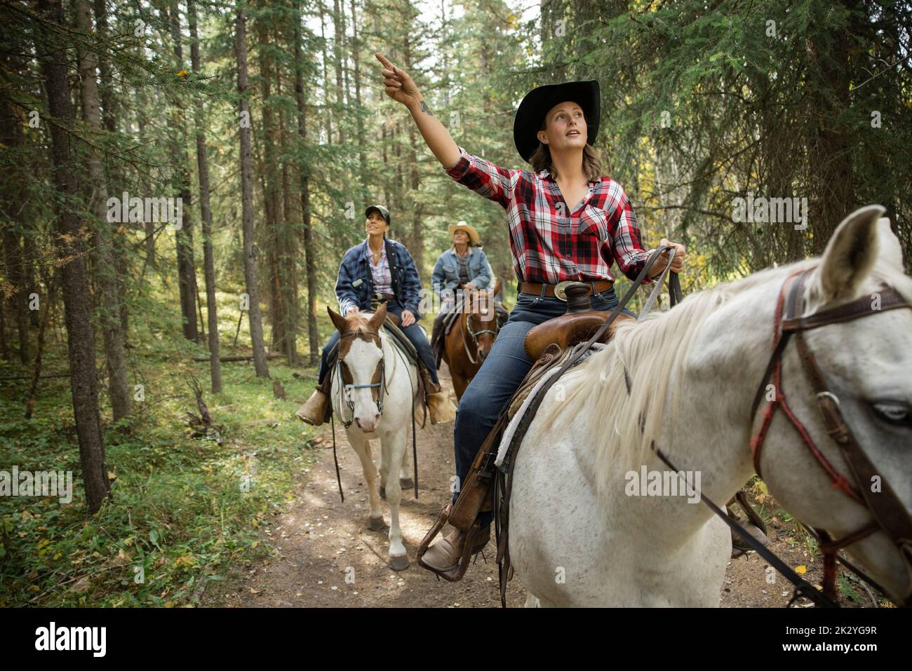 Leading to trail hi-res stock photography and images - Alamy
