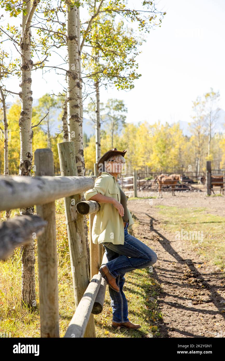 Mature fence hi-res stock photography and images - Alamy