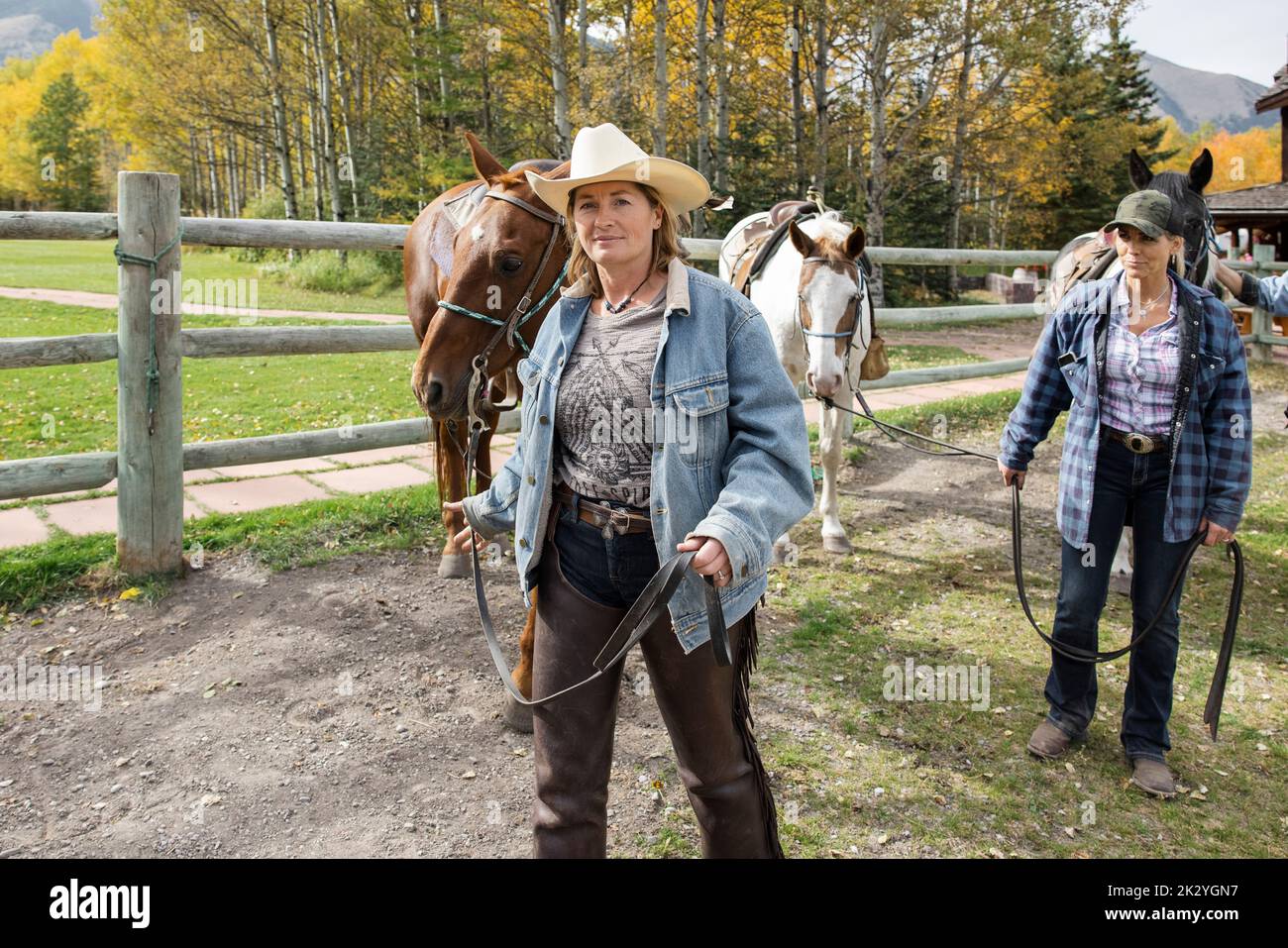 Confident mature woman hi-res stock photography and images - Alamy
