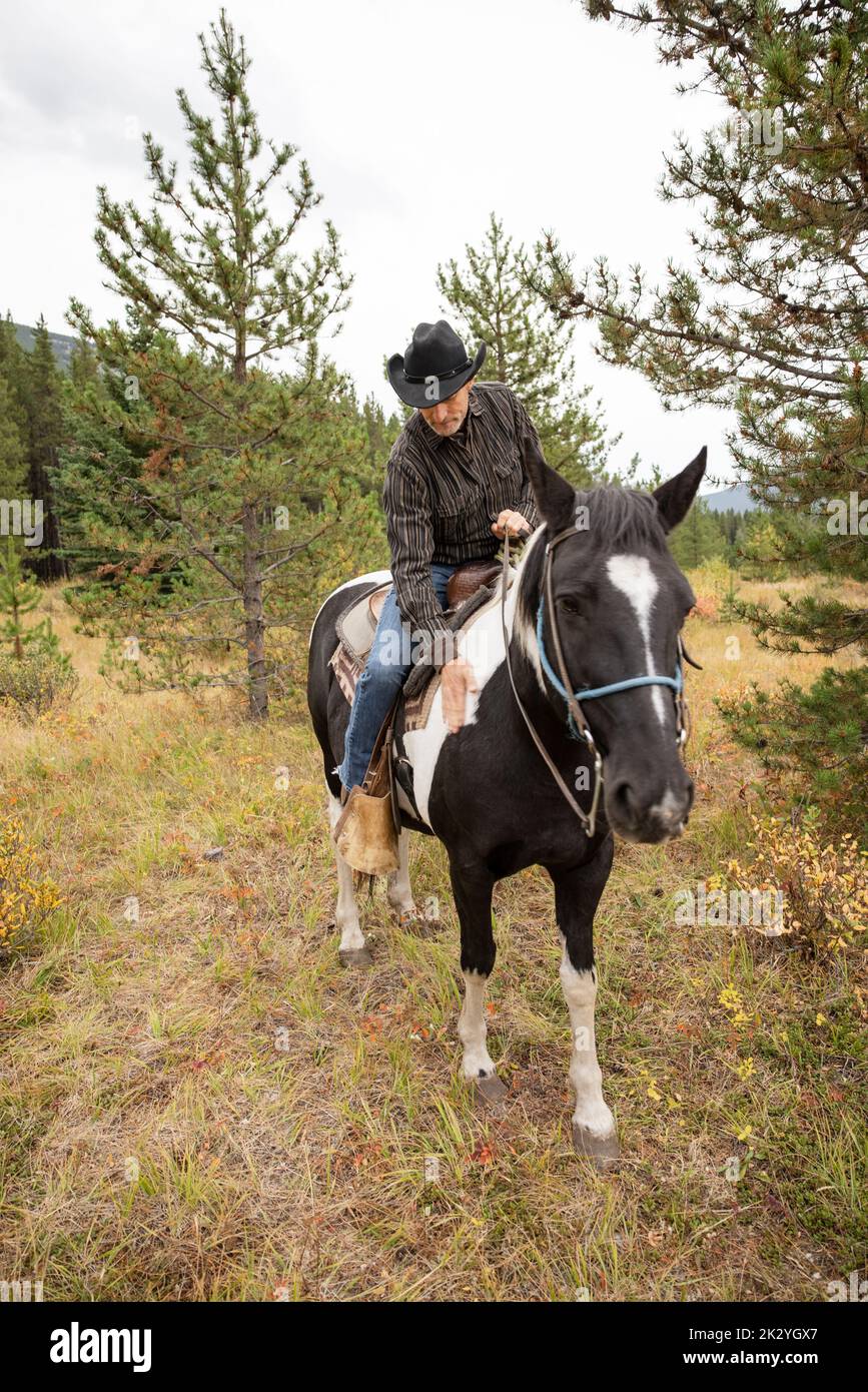 Horse riding man remote hi-res stock photography and images - Alamy