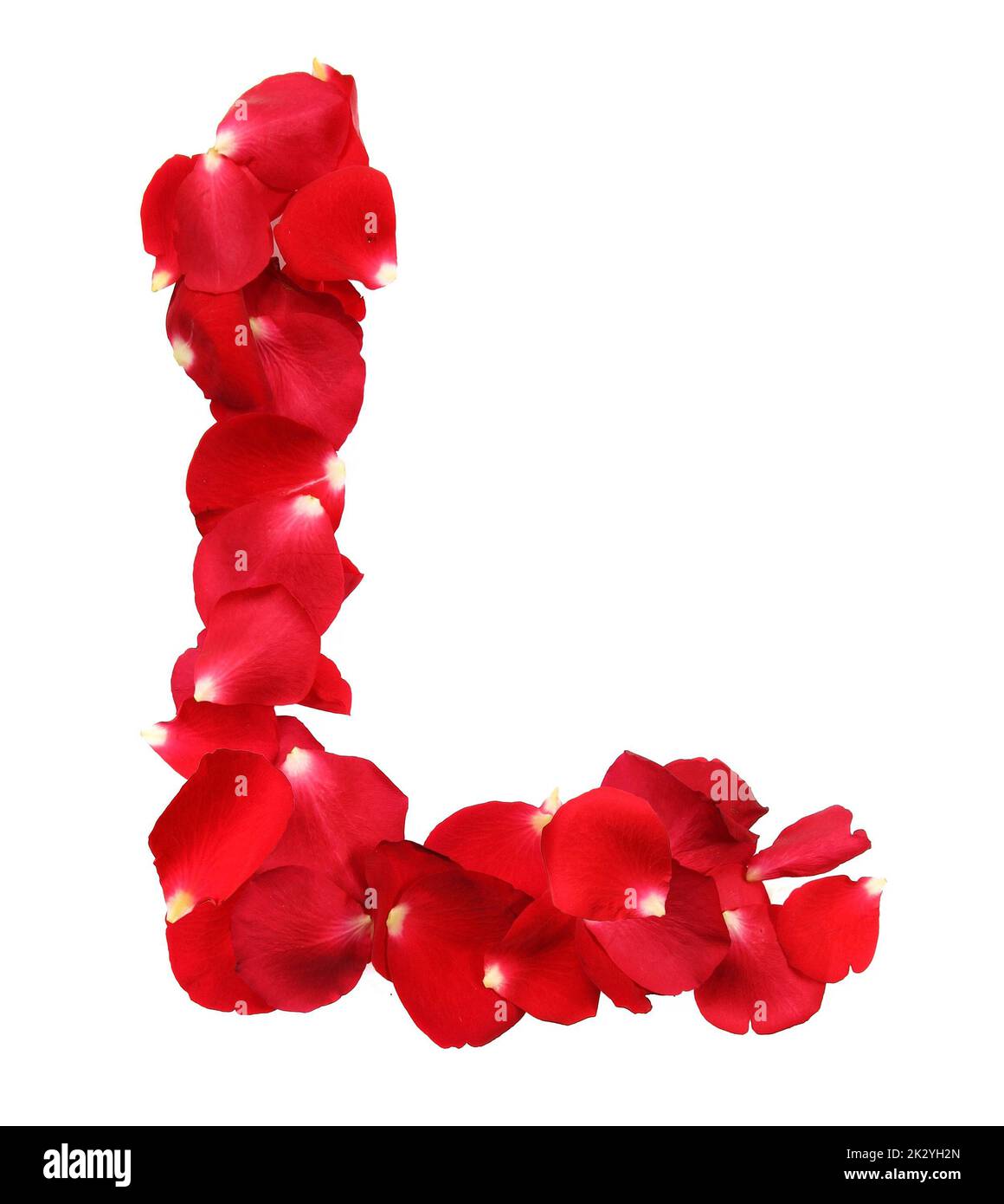 Red rose flower alphabet hi-res stock photography and images - Alamy